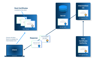 Install root certificates on Android: Step up your device security